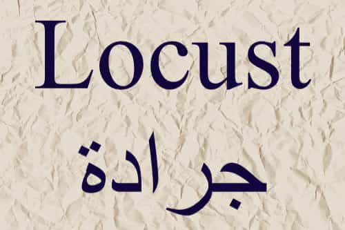 The Word Locust Mentioned In Quran | The Last Dialogue