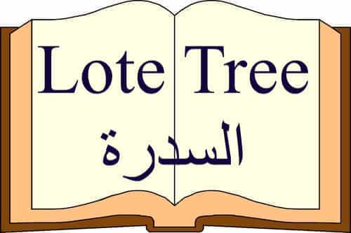The Word Lote Tree Mentioned In Quran | The Last Dialogue