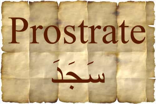 The Word Prostration Mentioned In Quran | The Last Dialogue