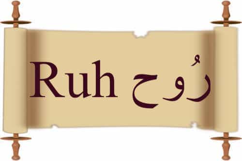 The Topic Ruh (Spirit) Mentioned In Quran | The Last Dialogue