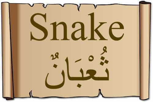 The Word Snake Mentioned In Quran | The Last Dialogue
