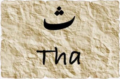 Arabic English Dictionary Root Word Search - The Last Dialogue