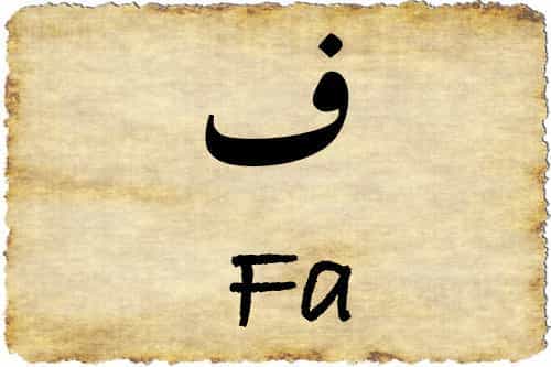 Arabic English Dictionary Root Word Search | The Last Dialogue