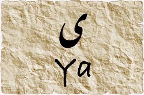 Arabic English Dictionary Root Word Search | The Last Dialogue